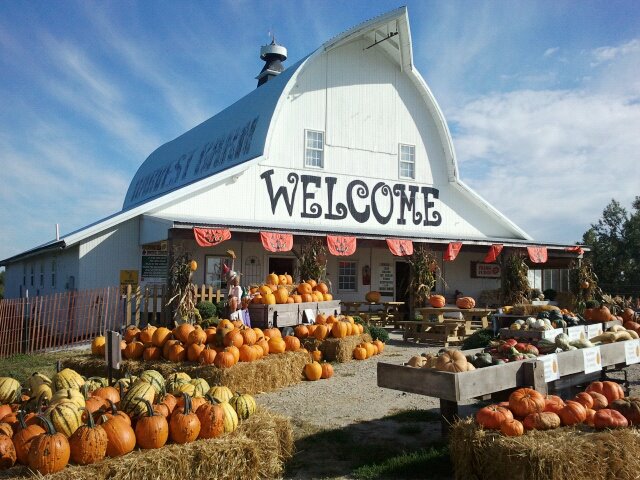 Harvest Barn Fun Farm – The Harvest Barn