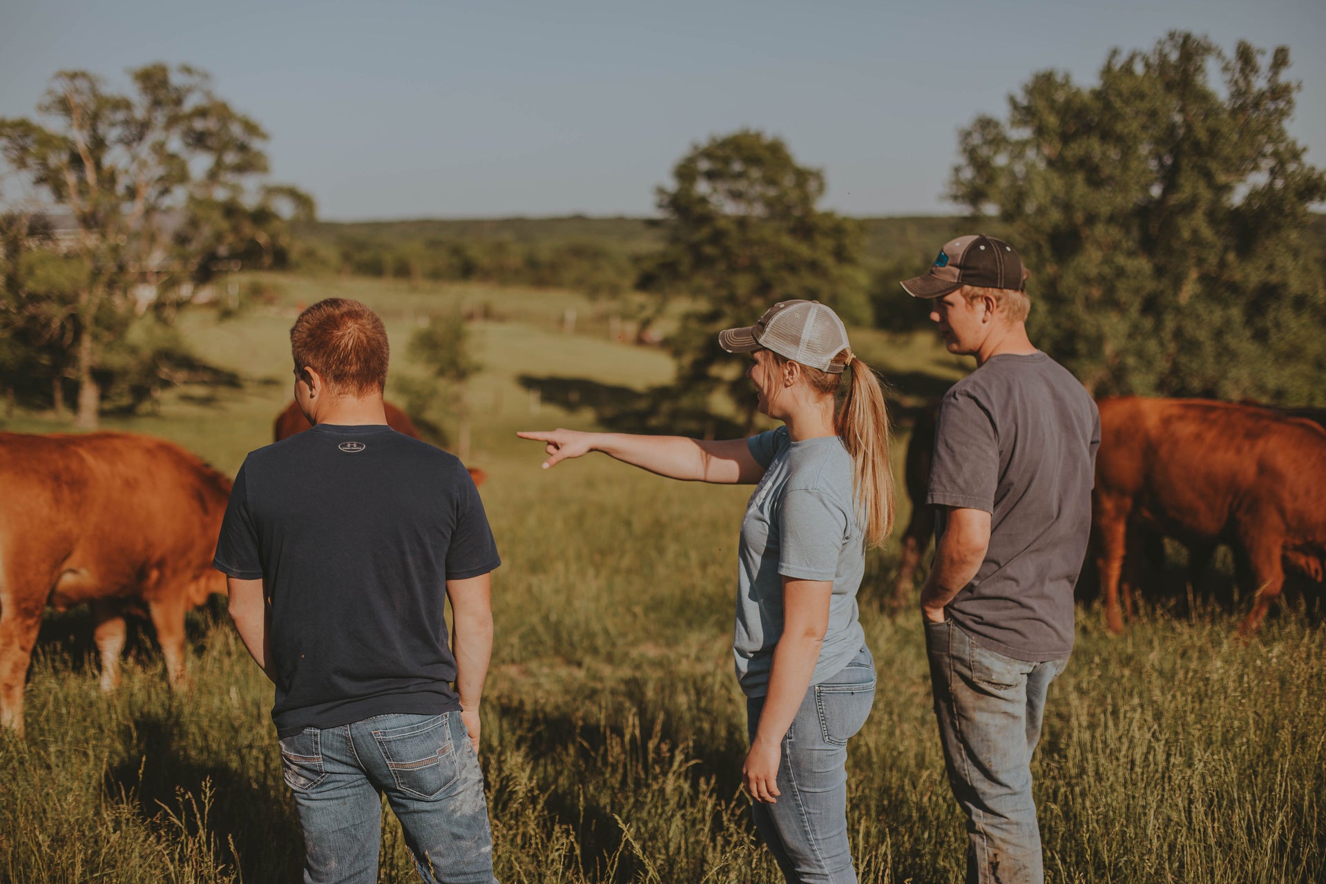 Product Drop-Offs – The Harvest Barn